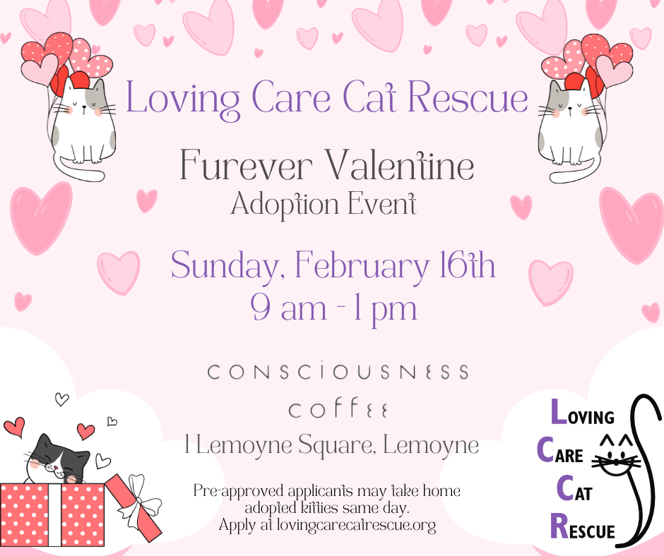 Furever Valentine Adoption Event - Loving Care Cat Rescue