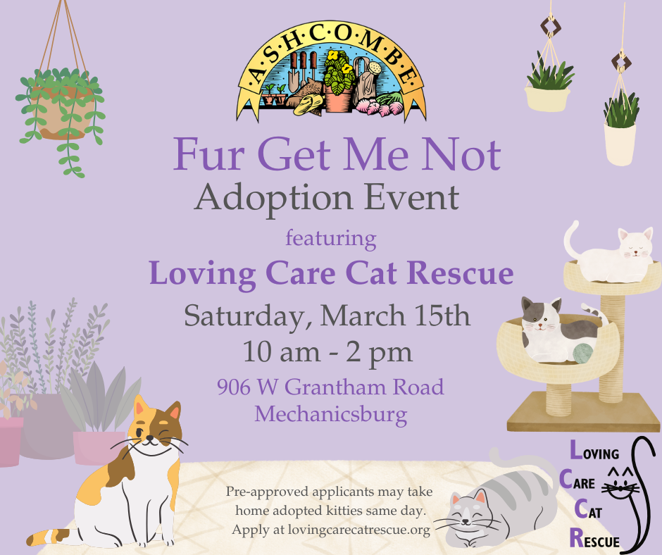 Fur Get Me Not Adoption Event - Loving Care Cat Rescue