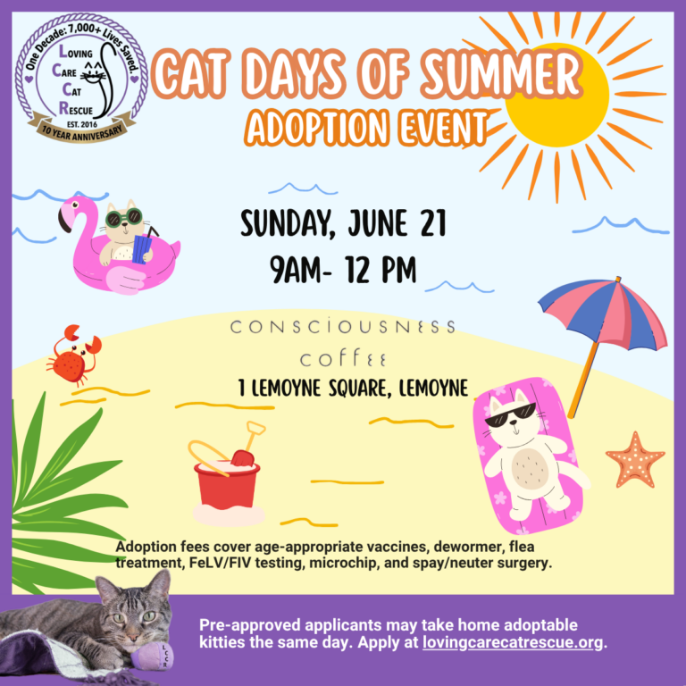 Cat Days of Summer Adoption Event - Loving Care Cat Rescue
